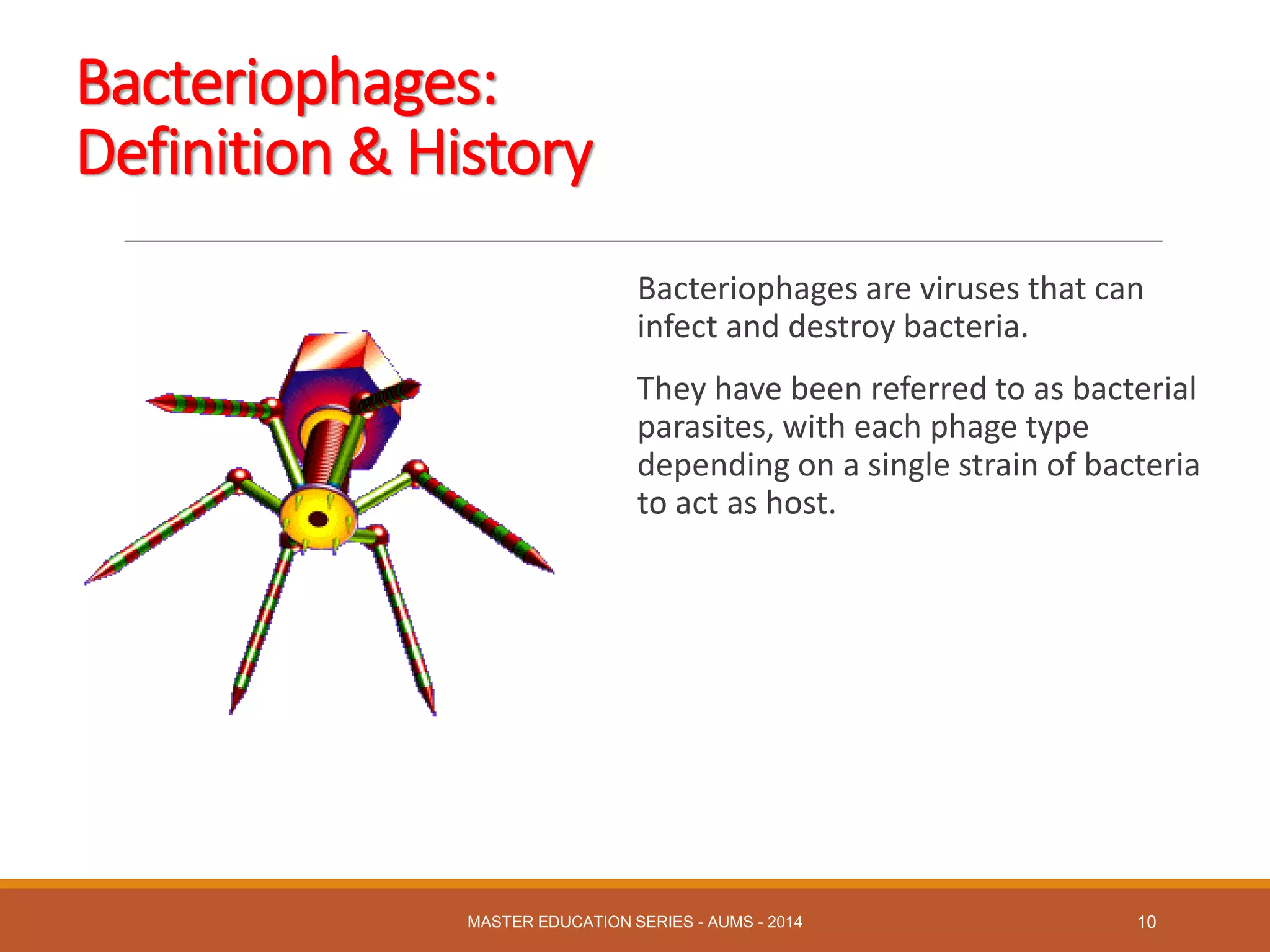 Bacteriophages | PDF