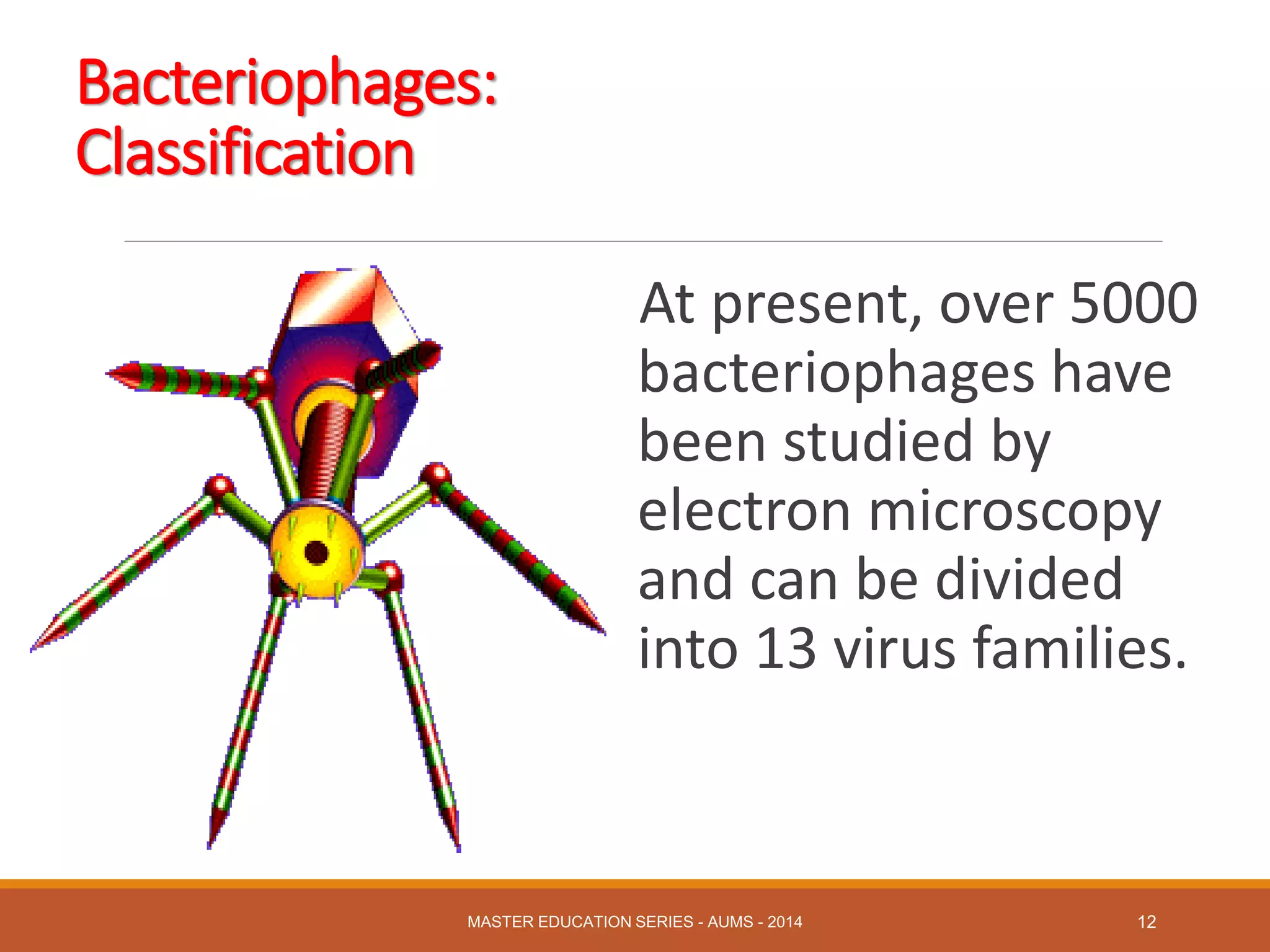 Bacteriophages | PDF