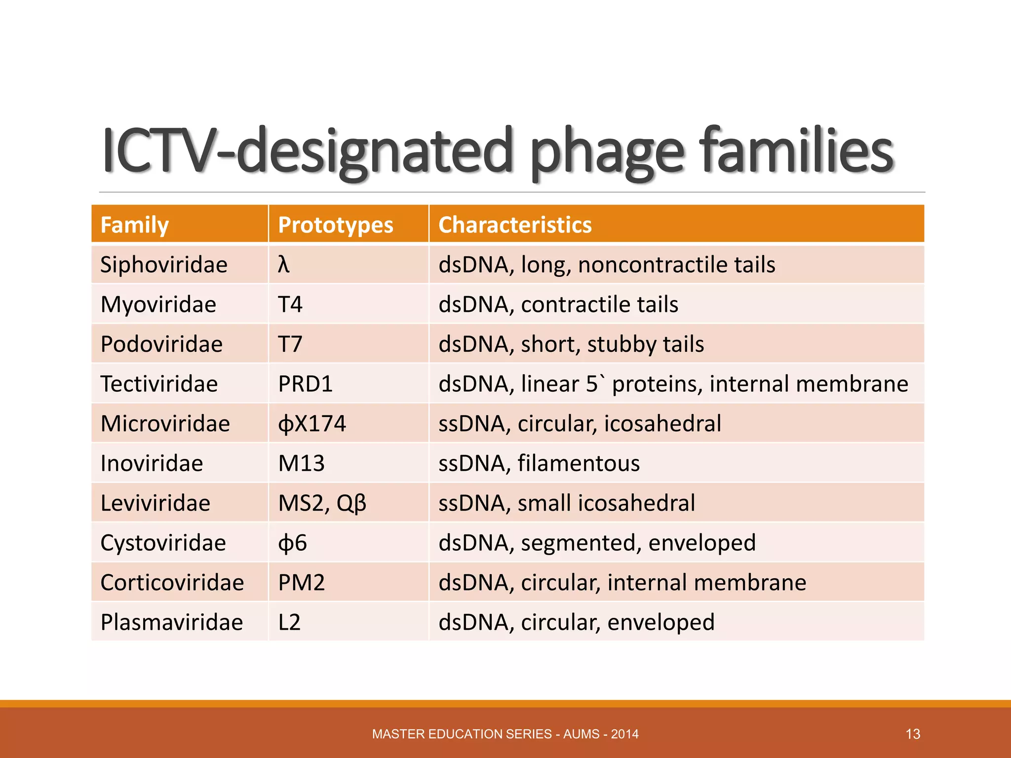 Bacteriophages | PDF