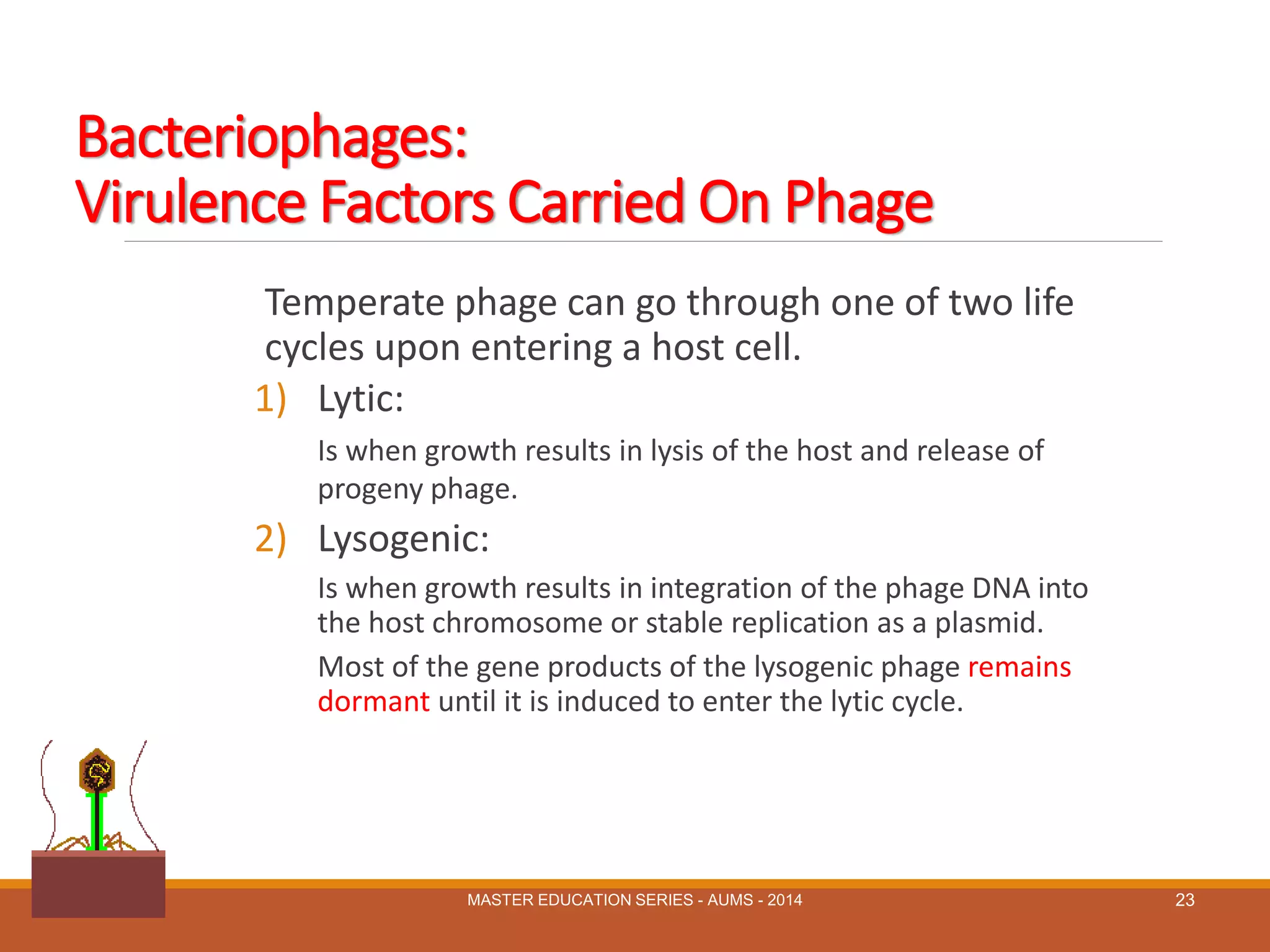 Bacteriophages | PDF