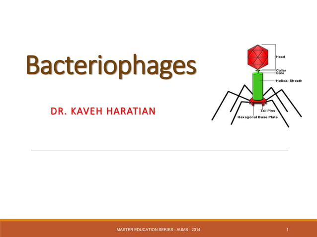 Bacteriophages | PDF