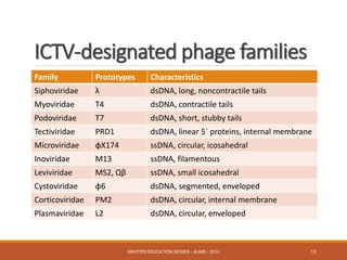 Bacteriophages | PDF