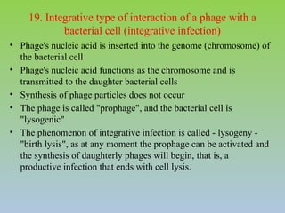 Bacteriophages and their microbiological basis | PPTX