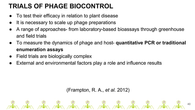 BACTERIOPHAGES_ A biocontrol strategy against bacterial phytopathogens; Credit Seminar- RAMJITH ...