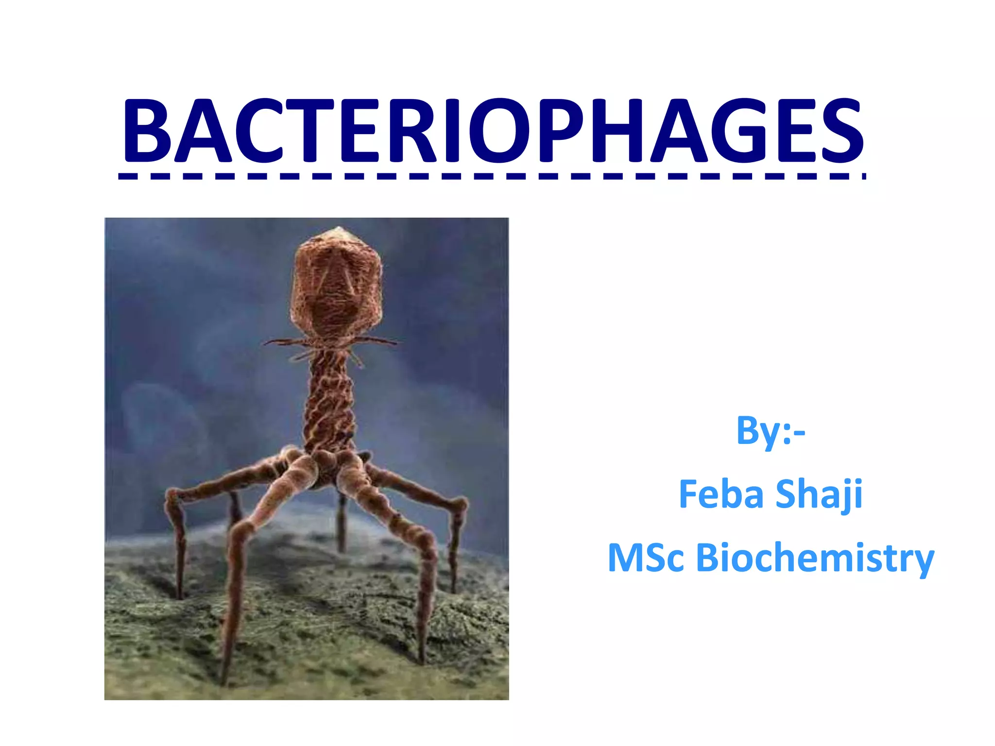 Bacteriophages | PPTX