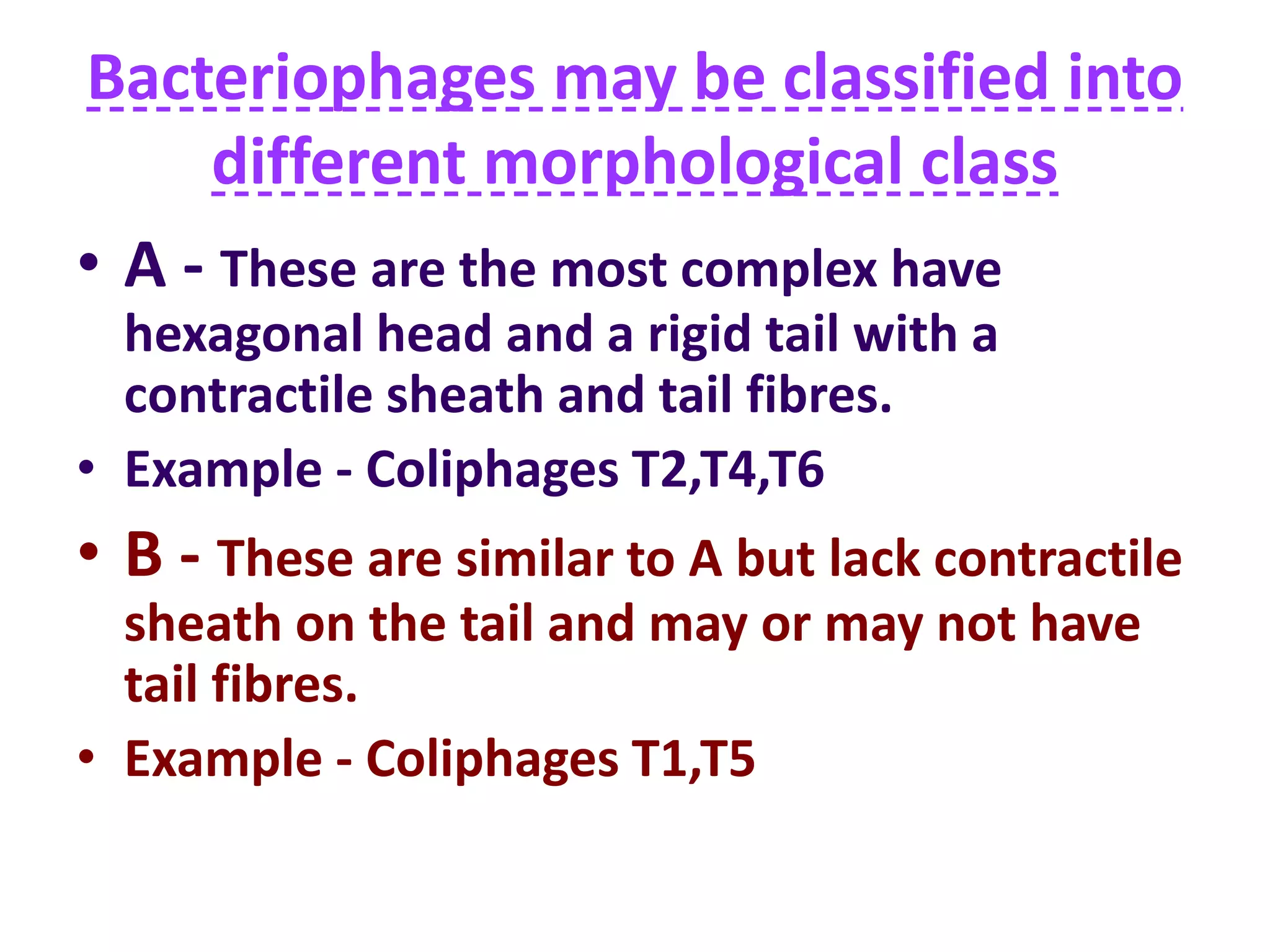 Bacteriophages | PPTX