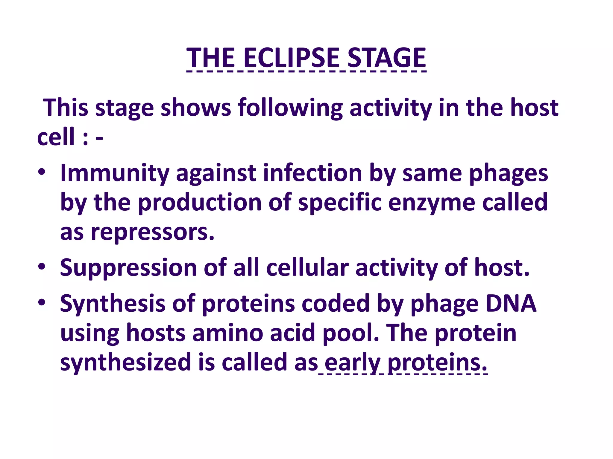 Bacteriophages | PPTX
