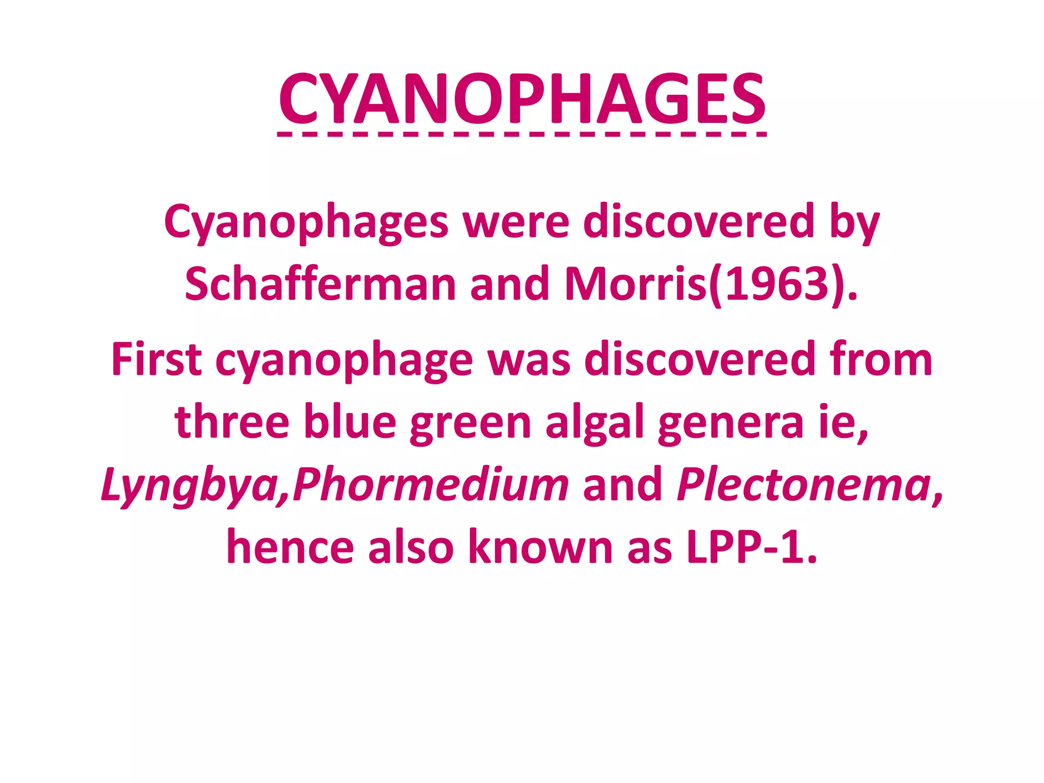Bacteriophages | PPTX