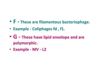 Bacteriophages | PPTX