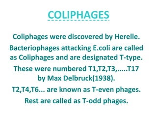 Bacteriophages | PPTX