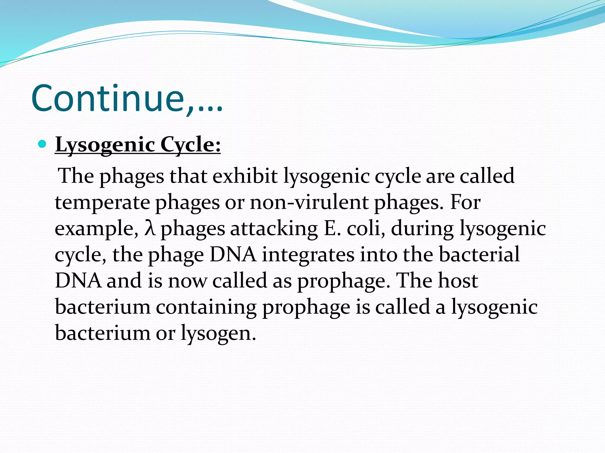 Bacteriophages And Its Classification Cycles Therapy And Applications Pptx