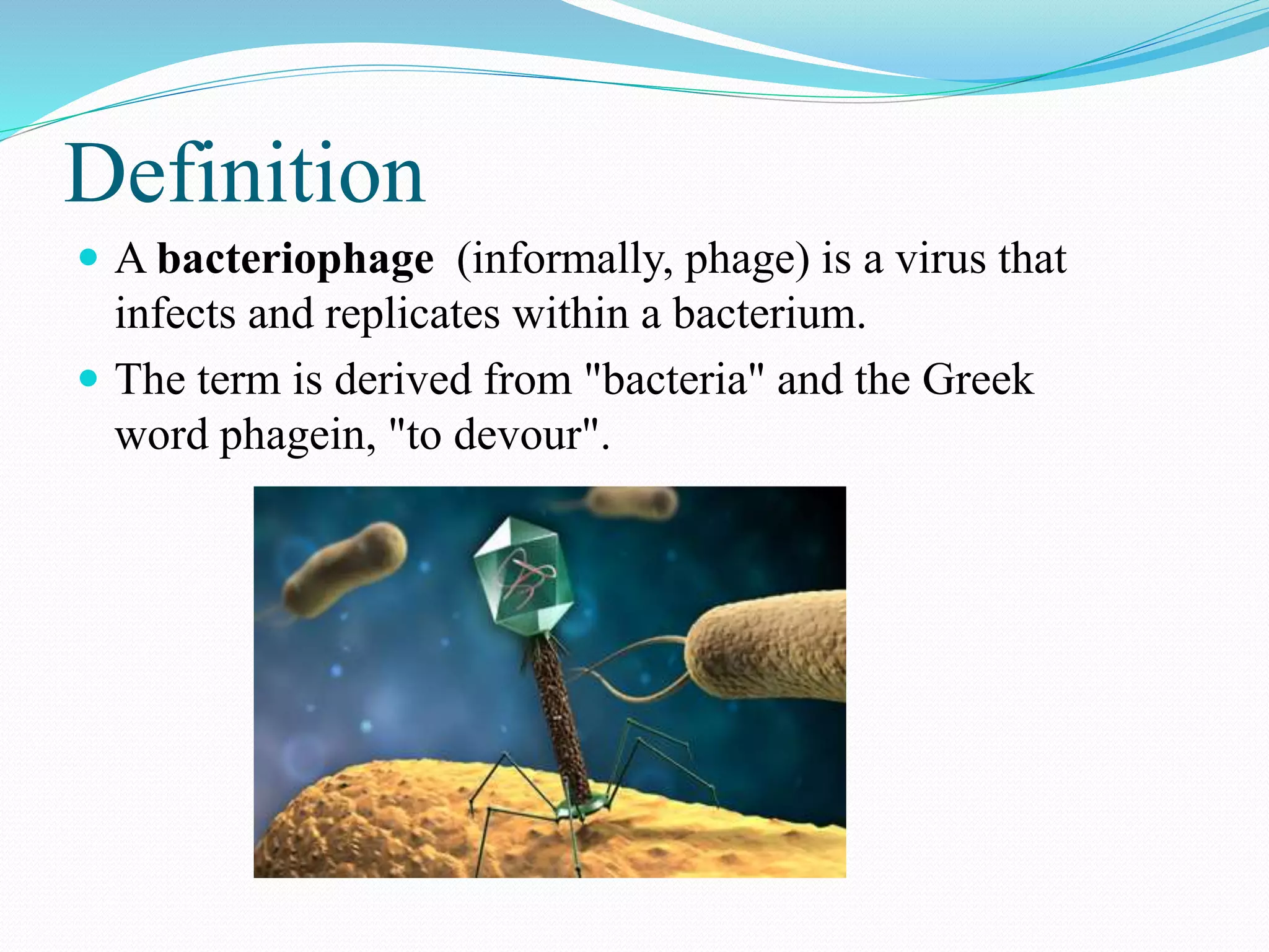 Bacteriophages & Its classification, cycles, therapy, and applications ...