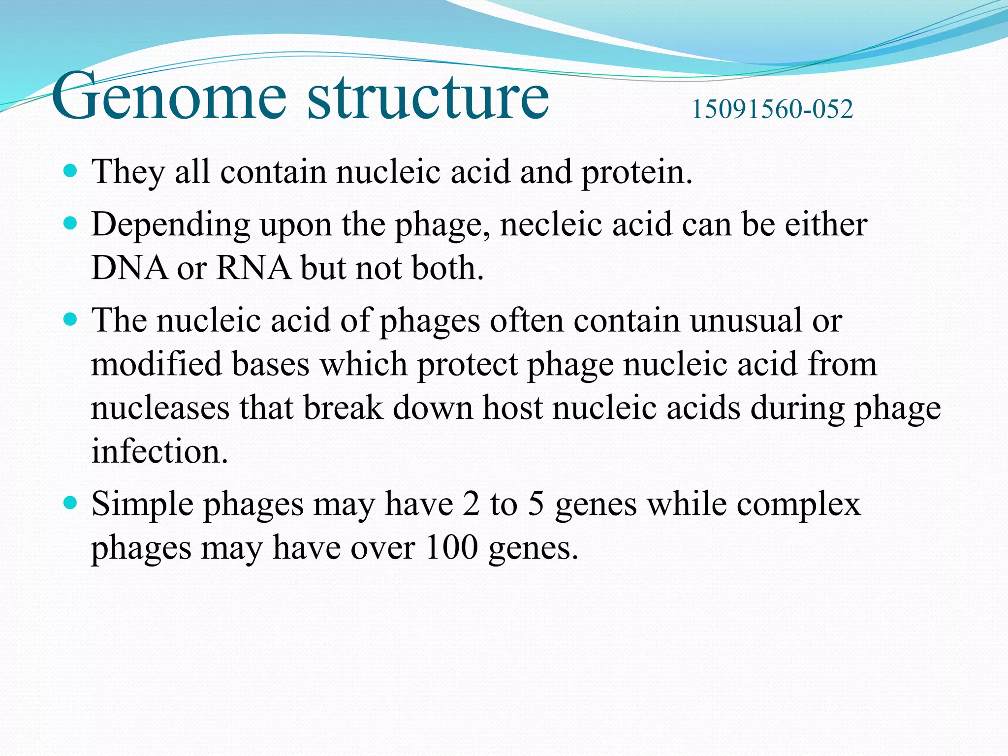 Bacteriophages & Its classification, cycles, therapy, and applications ...