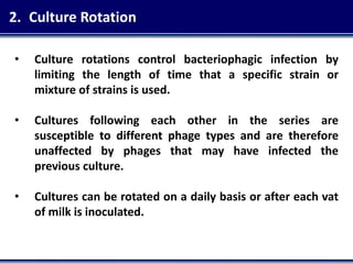 Bacteriophages of LAB control measures and significance | PPT