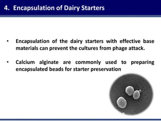 Bacteriophages of LAB control measures and significance | PPT