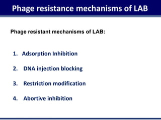 Bacteriophages of LAB control measures and significance | PPT