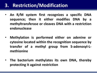 Bacteriophages of LAB control measures and significance | PPTX
