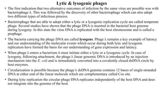Bacteriophage lambda life cycle's strategy | PPT