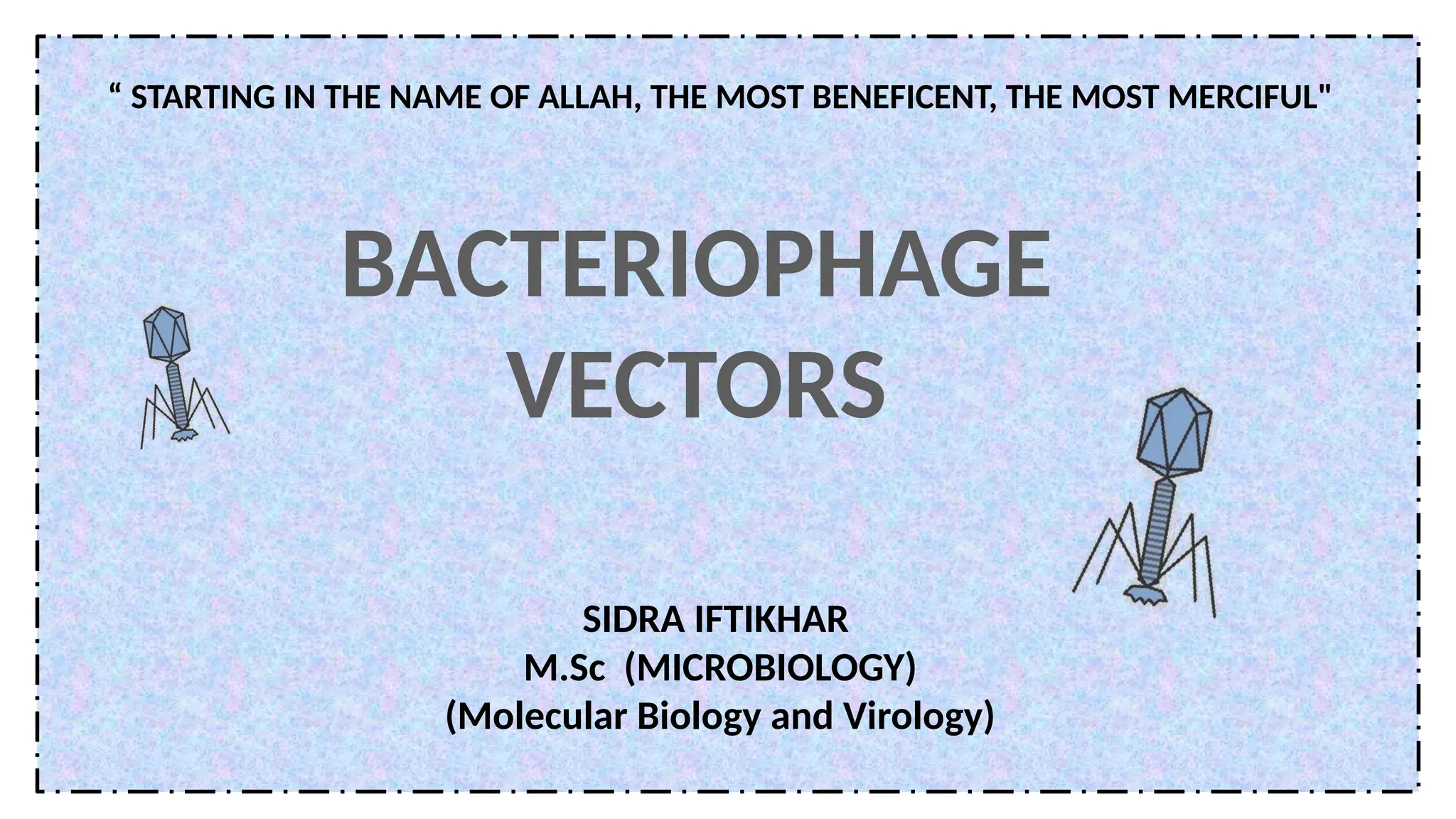 BACTERIOPHAGE VECTOR USED IN GENETIC ENGINEERING | PPTX
