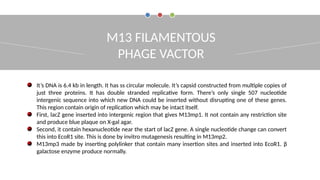BACTERIOPHAGE VECTOR USED IN GENETIC ENGINEERING | PPTX