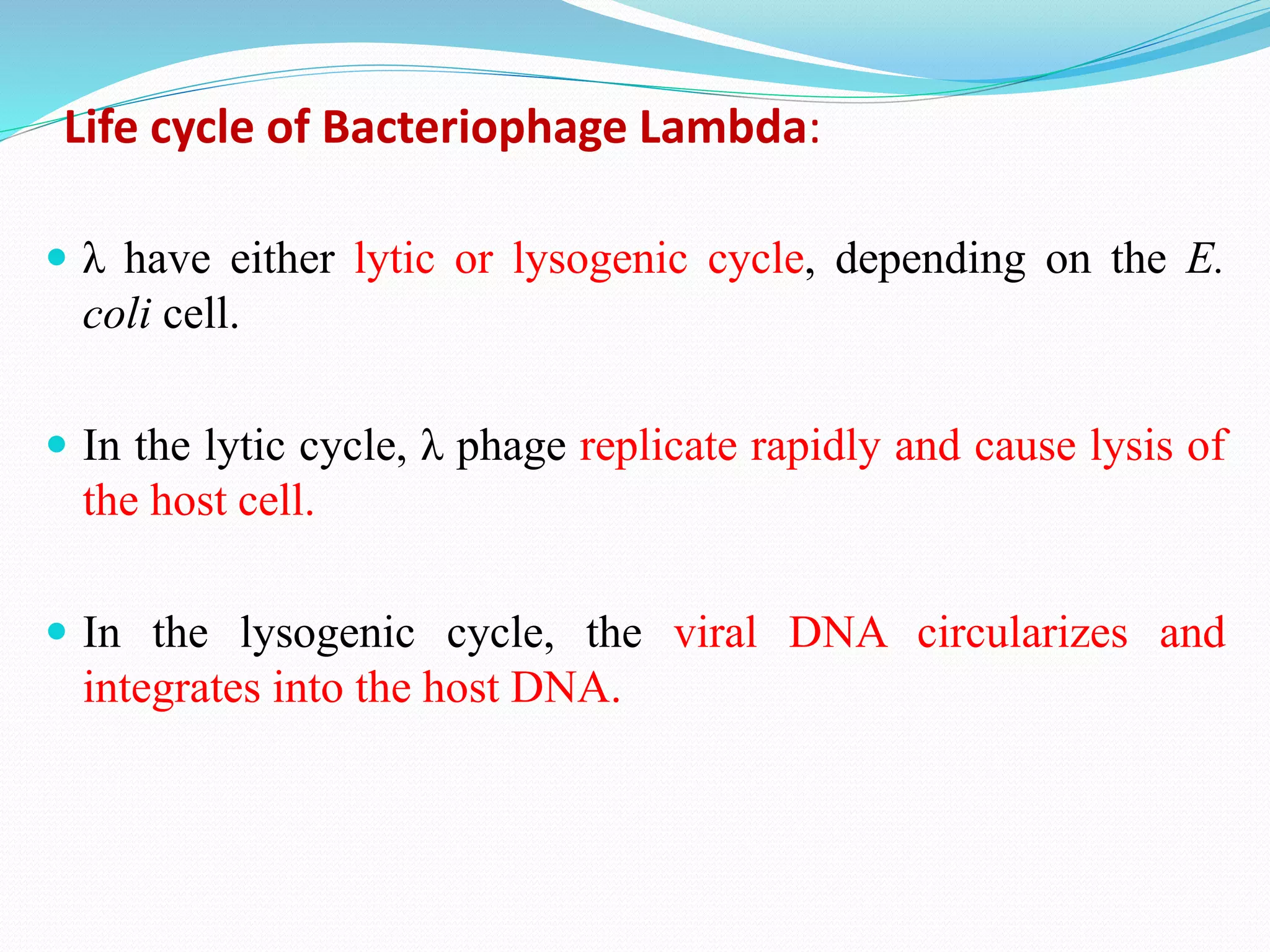 Bacteriophage T4 and Bacteriophage lambda | PPTX