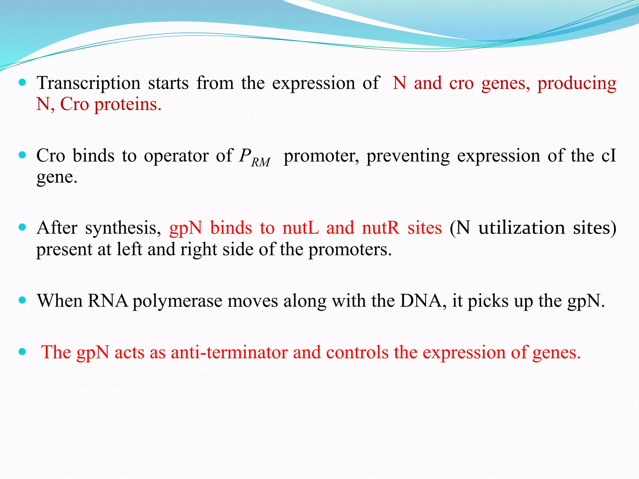 Bacteriophage T4 and Bacteriophage lambda | PPTX