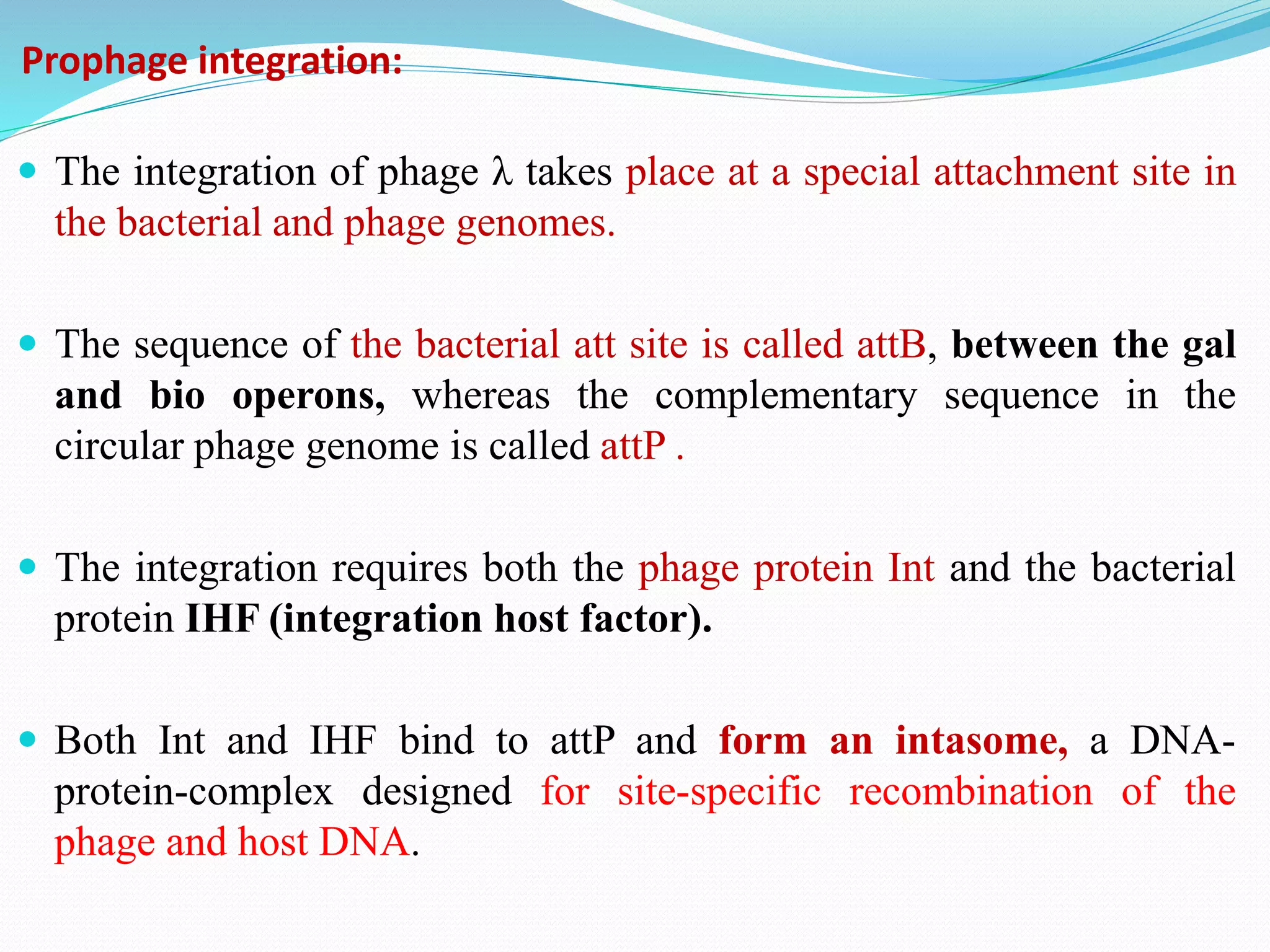Bacteriophage T4 and Bacteriophage lambda | PPTX
