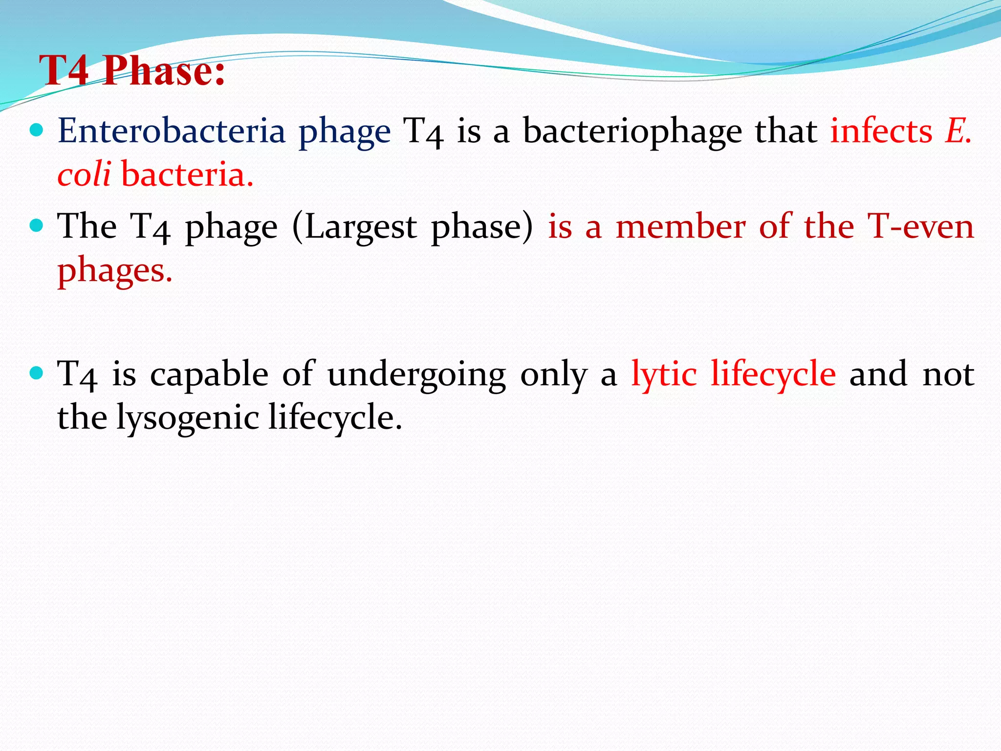 Bacteriophage T4 and Bacteriophage lambda | PPTX