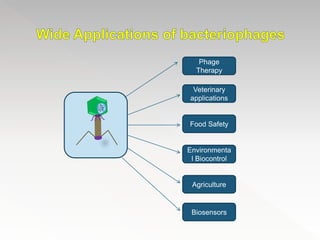 Bacteriophage therapy in the current scenario of emerging antimicrobial resistance | PPT