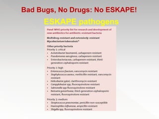 Bacteriophage therapy in the current scenario of emerging antimicrobial ...