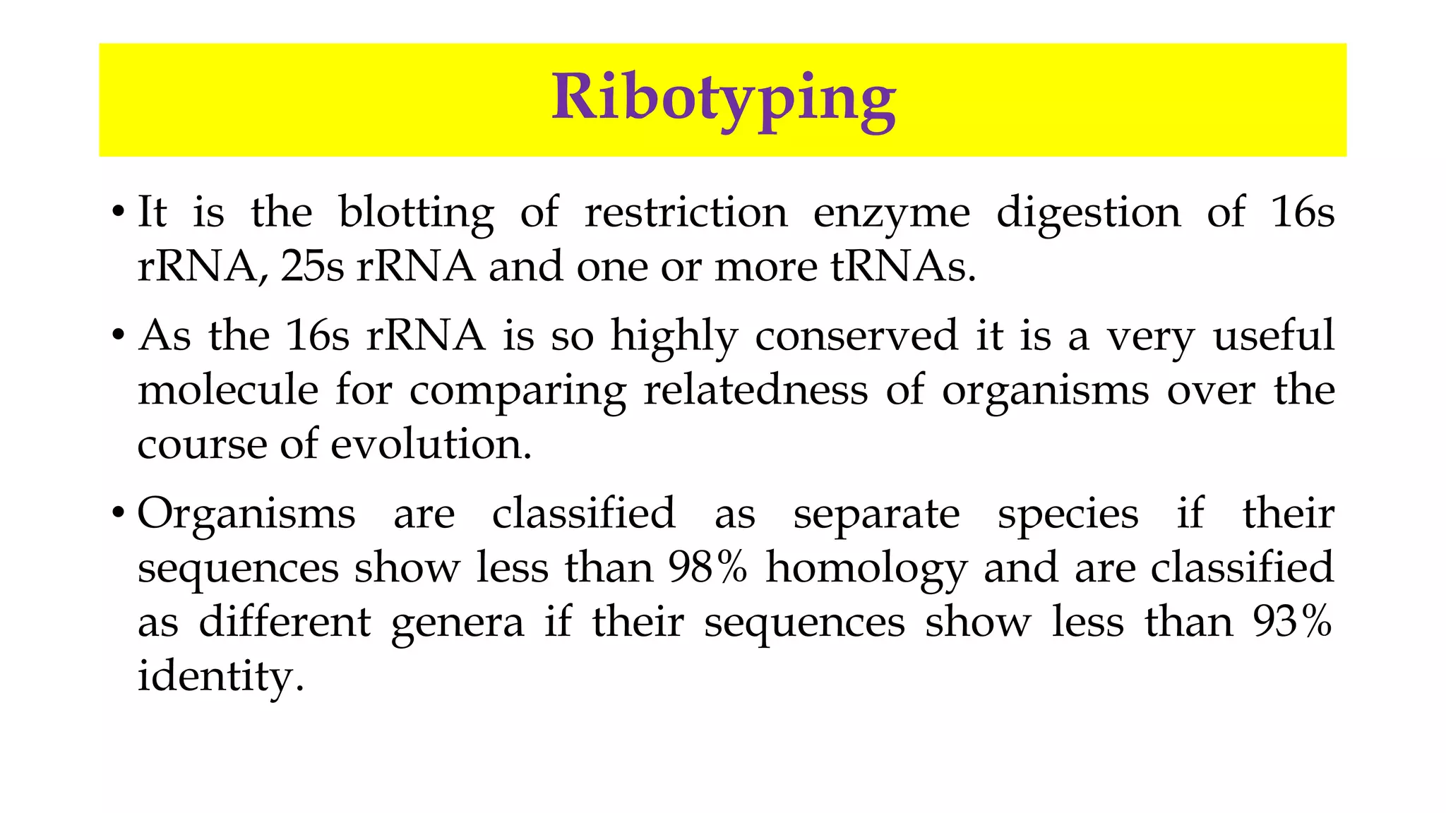 Bacteriophage typing | PDF
