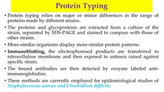 Bacteriophage typing | PDF