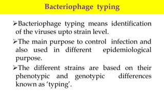Bacteriophage typing | PDF