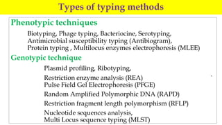 Bacteriophage typing | PDF