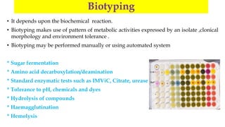 Bacteriophage typing | PDF