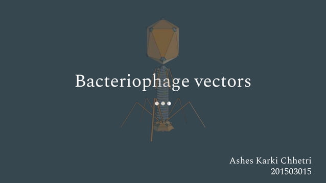 Bacteriophage vector | PPTX