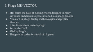 Bacteriophage vector | PPTX
