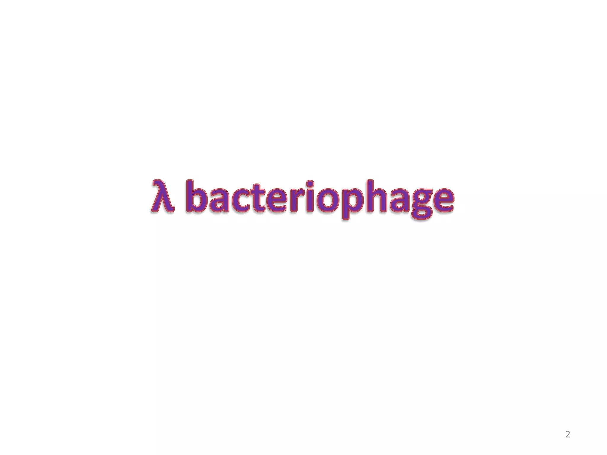 Bacteriophage vectors | PDF