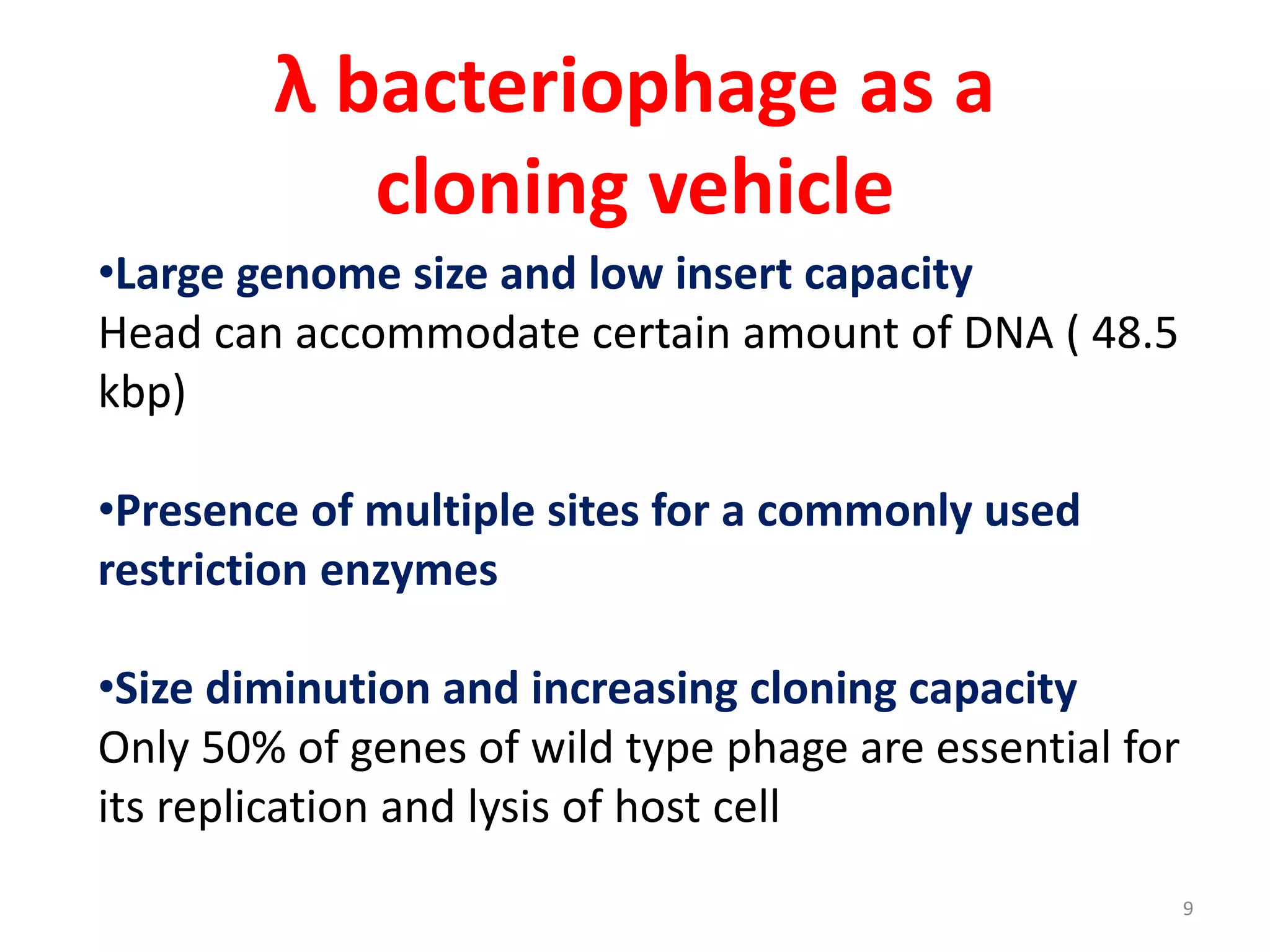 Bacteriophage vectors