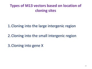 Bacteriophage vectors | PDF