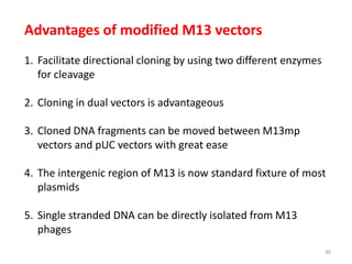 Bacteriophage vectors | PDF