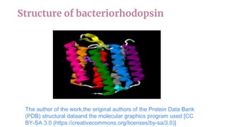 Bacteriorhodopsin-Transport process driven by light | PPTX | Chemistry ...