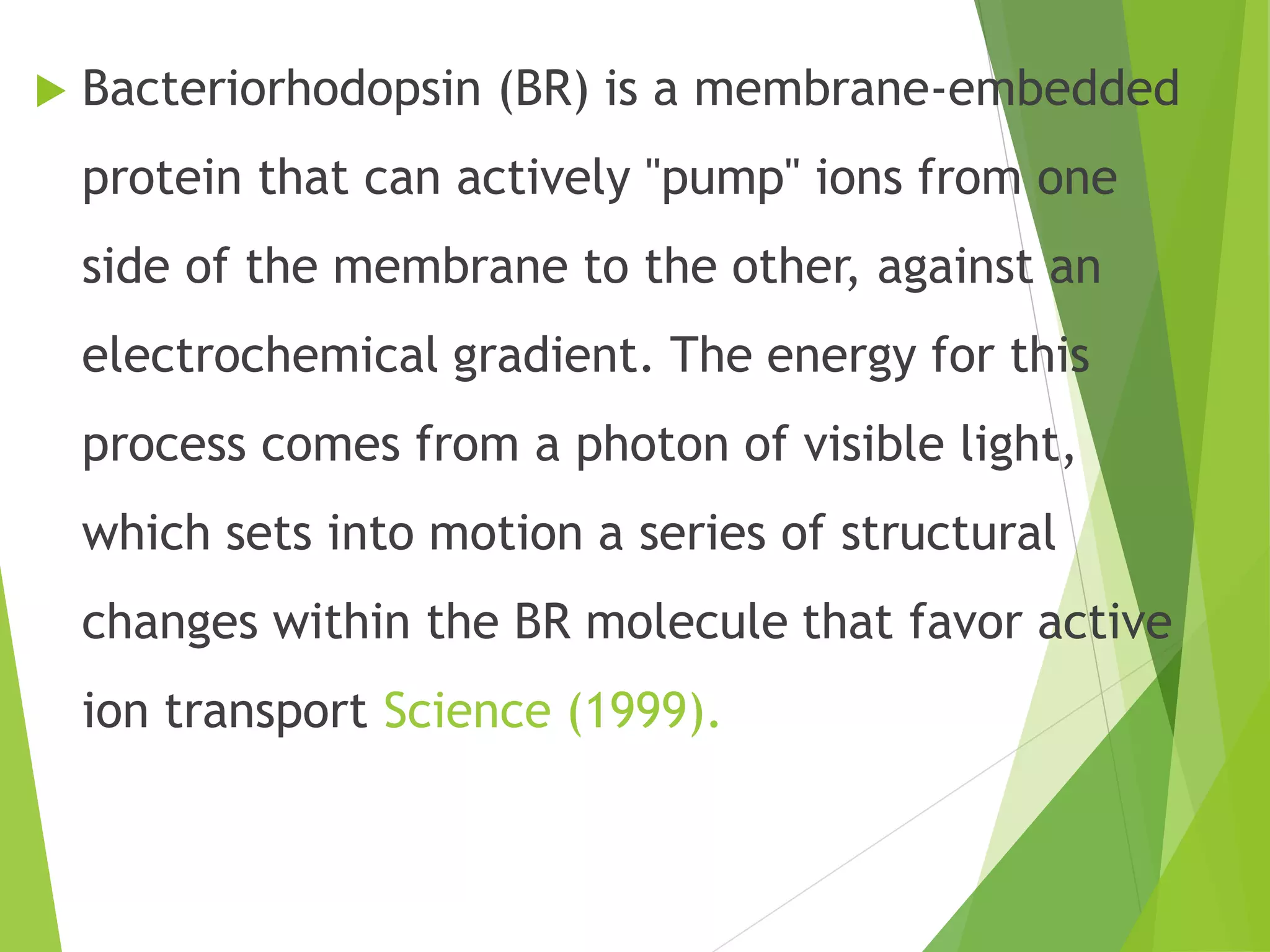 Bacteriorhodopsin.pdf