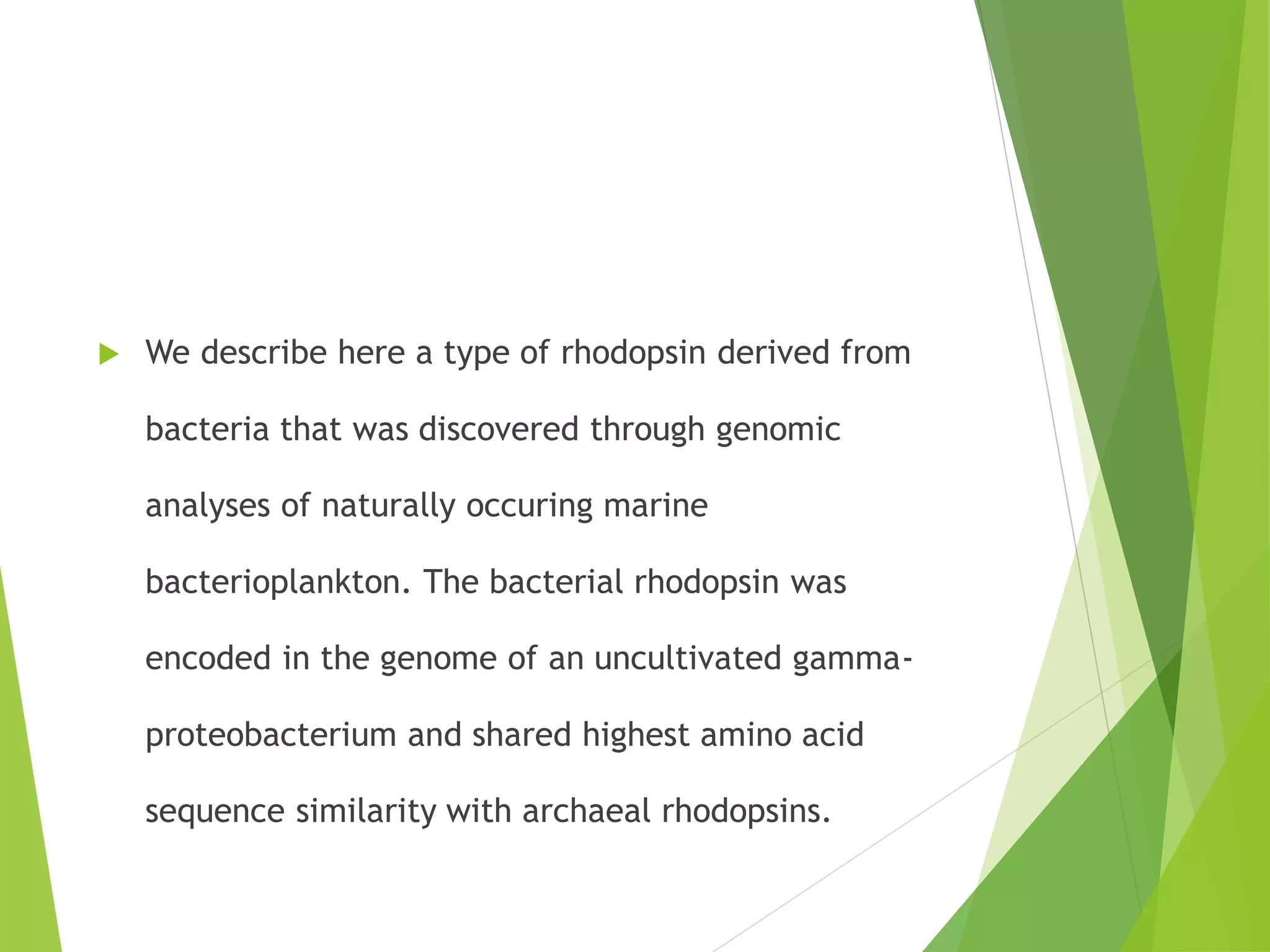 Bacteriorhodopsin.pdf