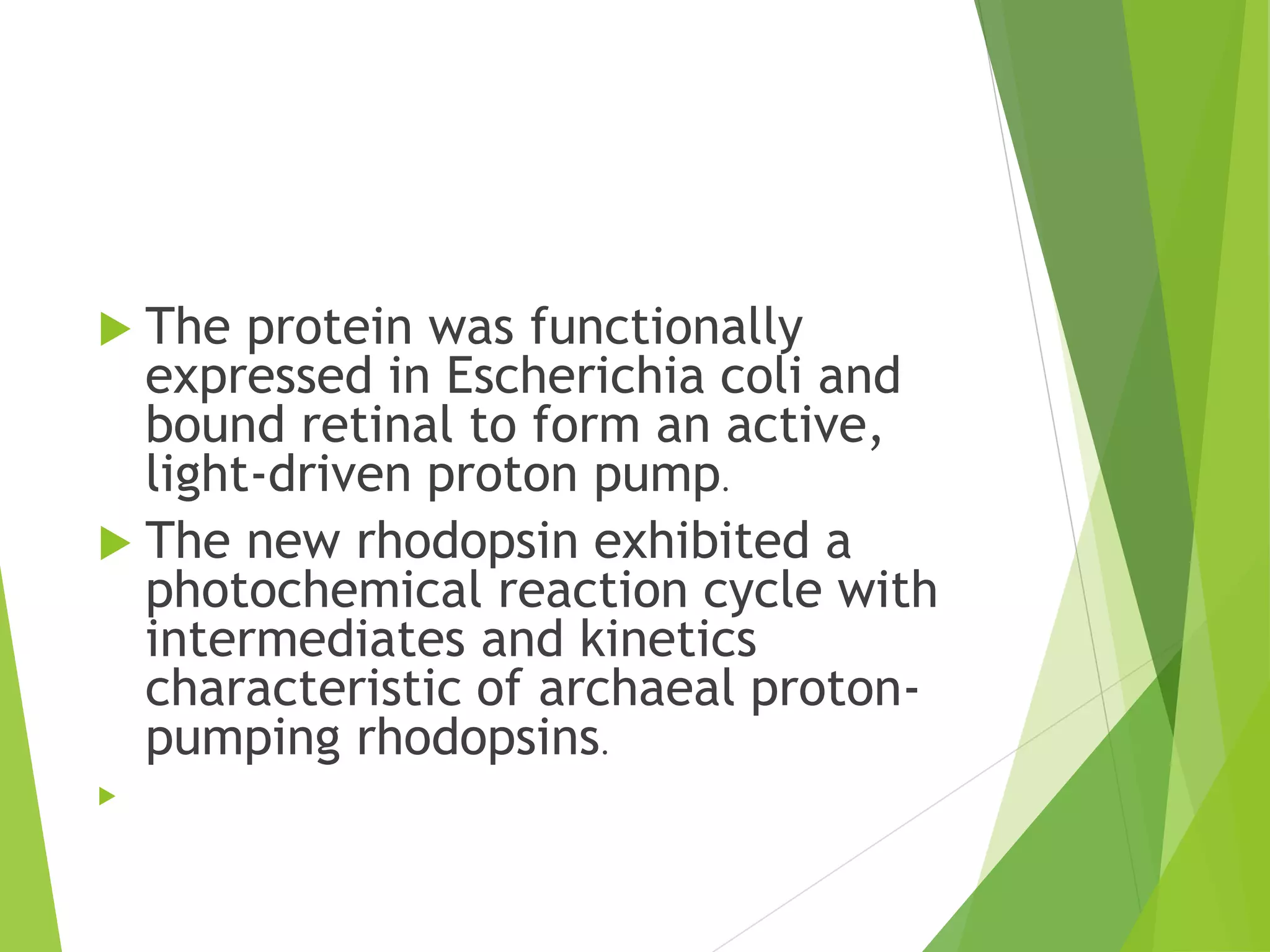 Bacteriorhodopsin.pdf