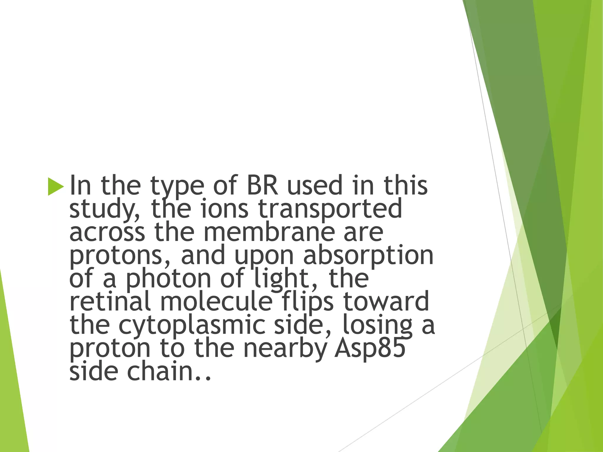 Bacteriorhodopsin.pdf
