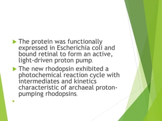 Bacteriorhodopsin.pdf