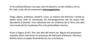 Bacteris | PPT