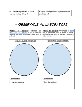 Bacterisi llevats | DOCX