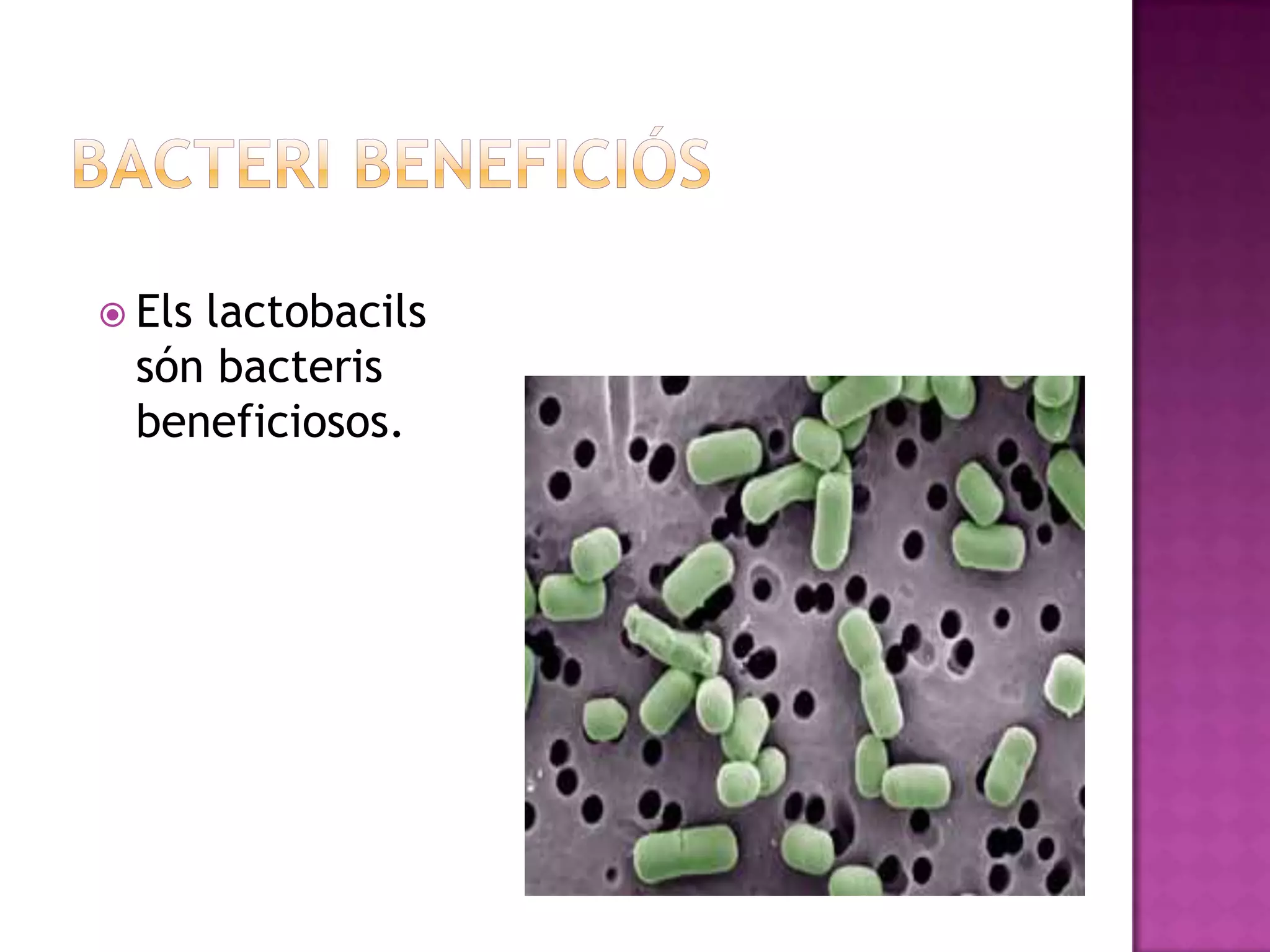 Bacteris perjudicials i bacteris beneficiosos | PPTX